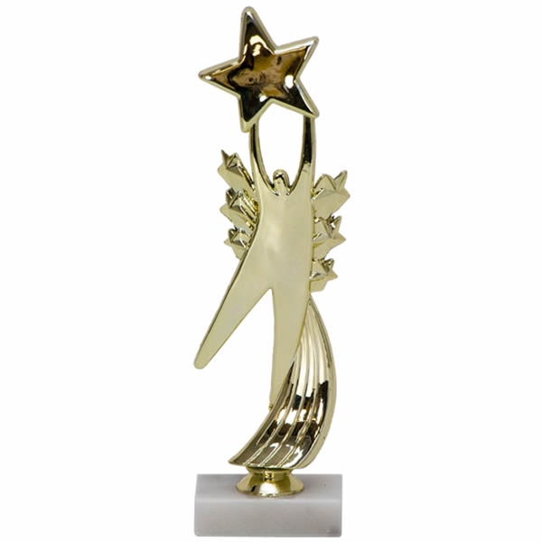 Star Achiever | AwardsPlus