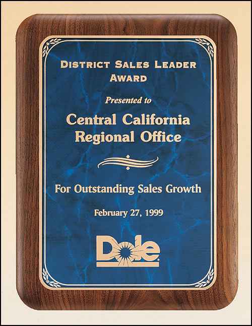 Sapphire Marble Rounded Plaque | AwardsPlus