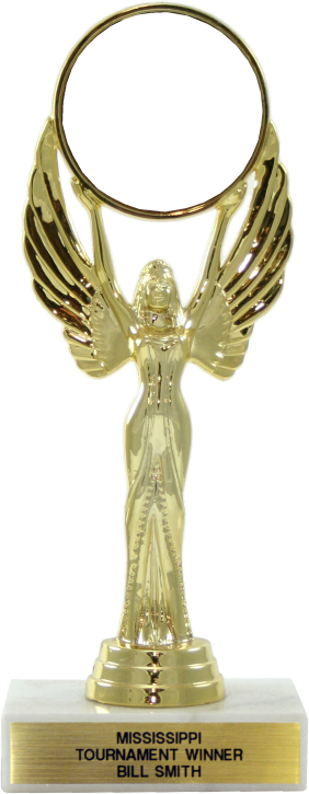 Achievement Insert Trophy | AwardsPlus